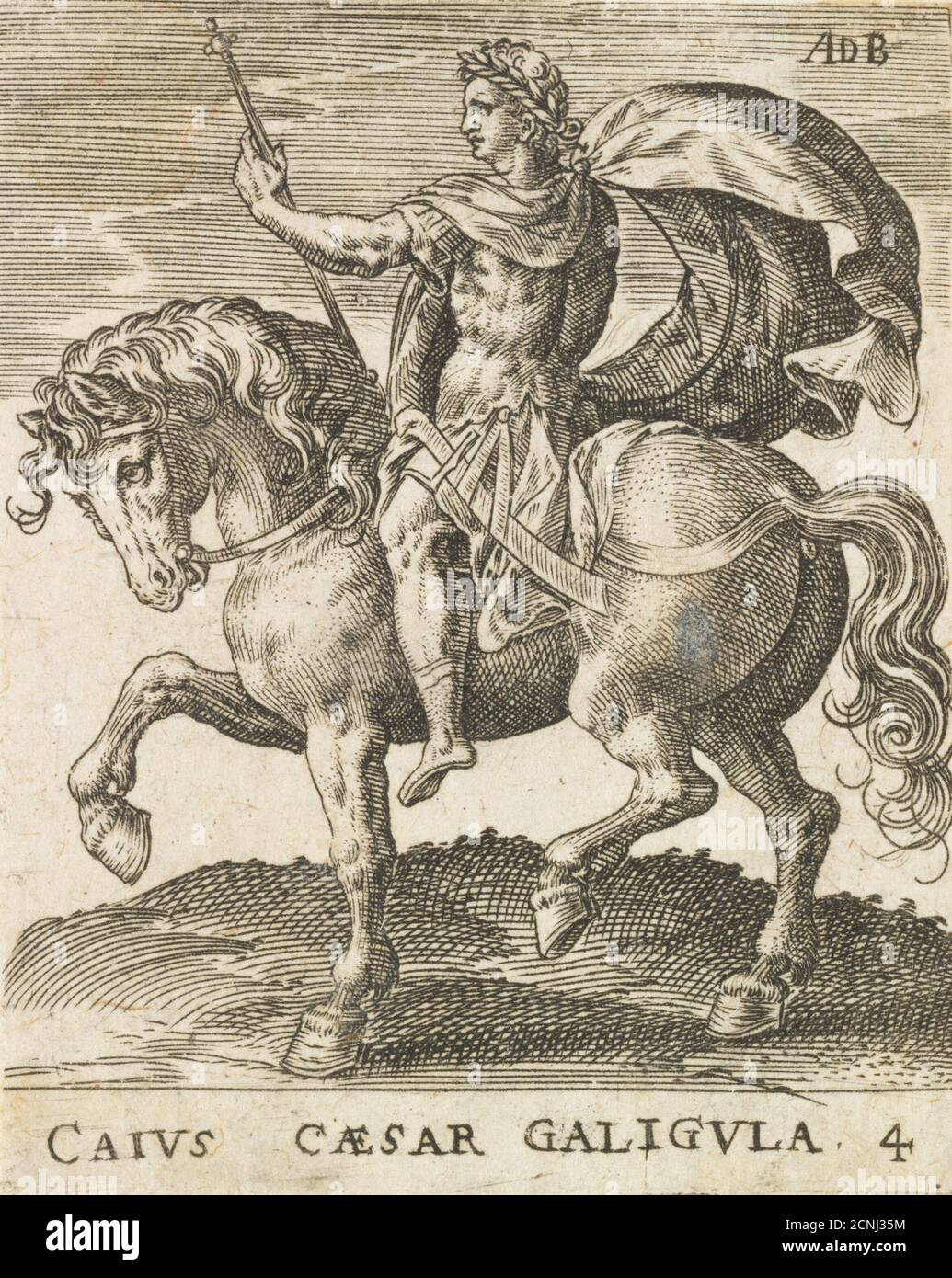 Caligula Horse Consul