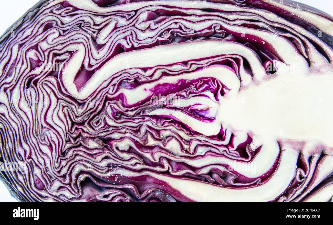 close up of cut red cabbage ,background backdrop healthy eating Stock ...