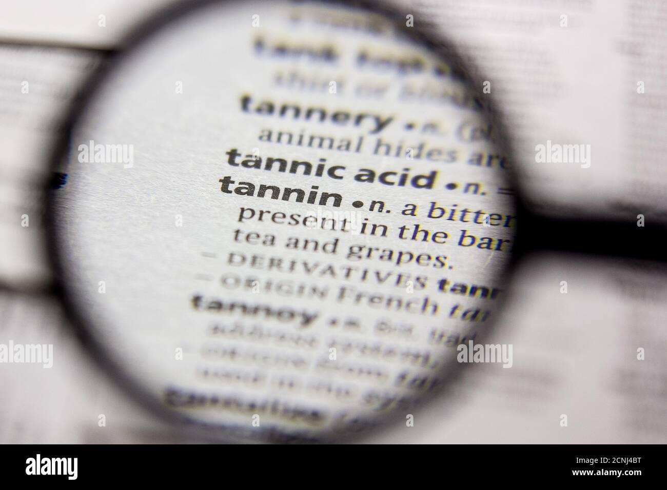 Word or phrase Tannin in a dictionary Stock Photo - Alamy