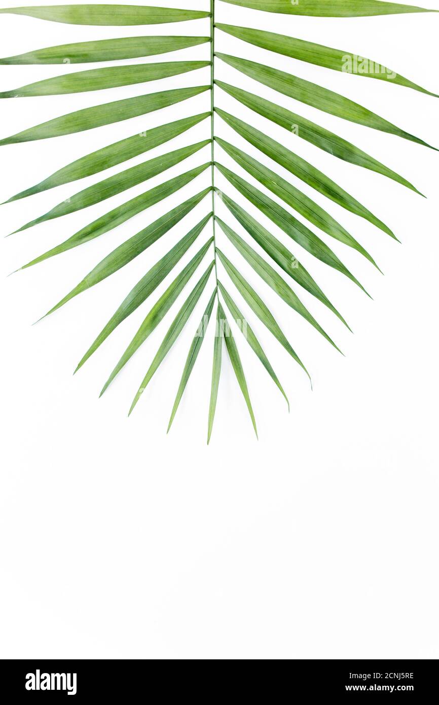 Woman beach top view laying hi-res stock photography and images - Alamy