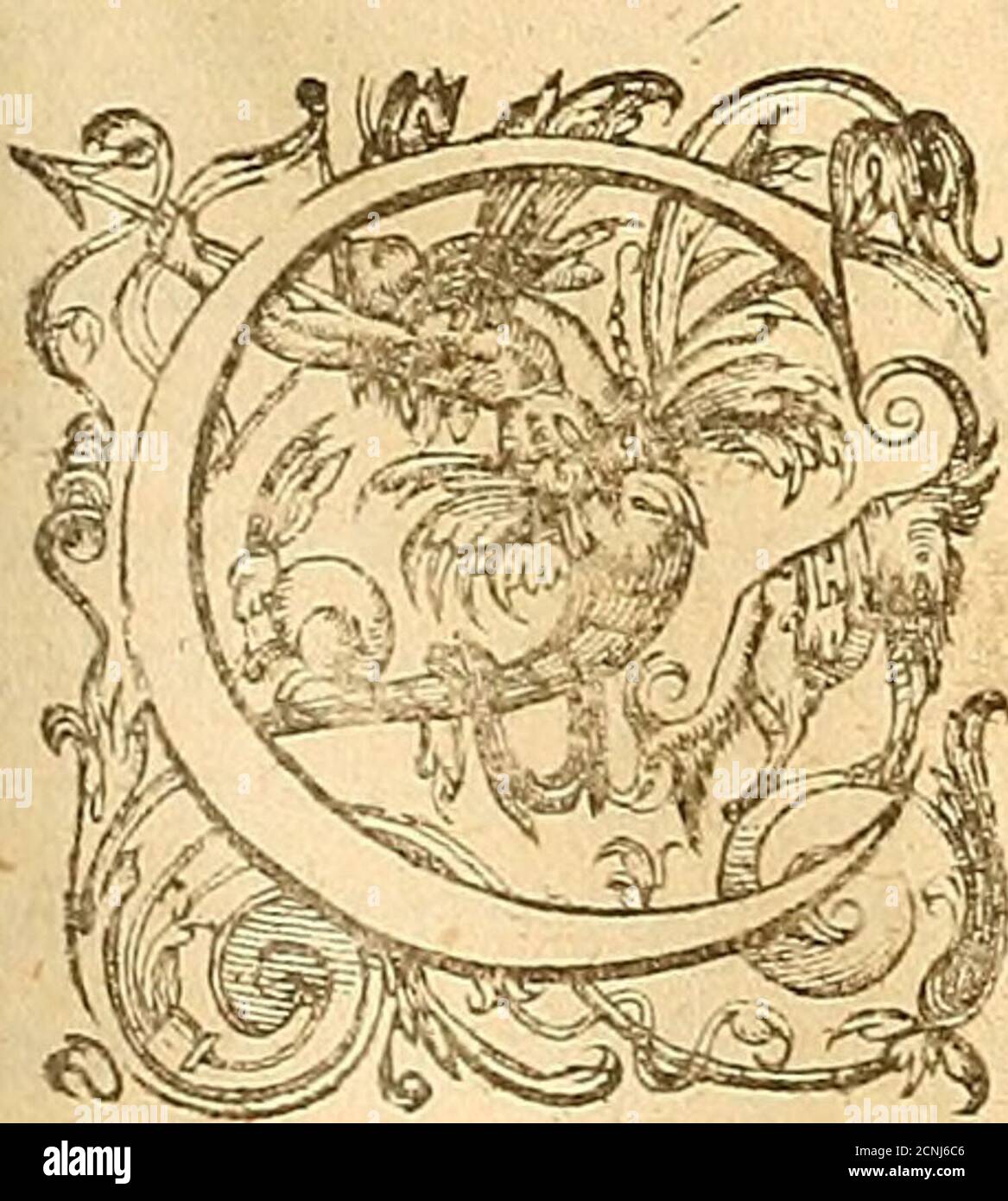 Parties du corps mort hi-res stock photography and images - Alamy