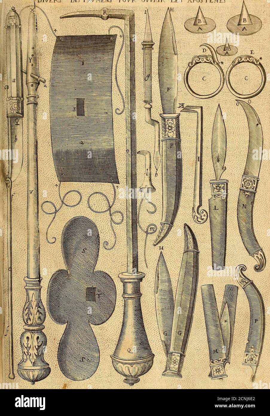 Les parties du corps humain hi-res stock photography and images - Alamy