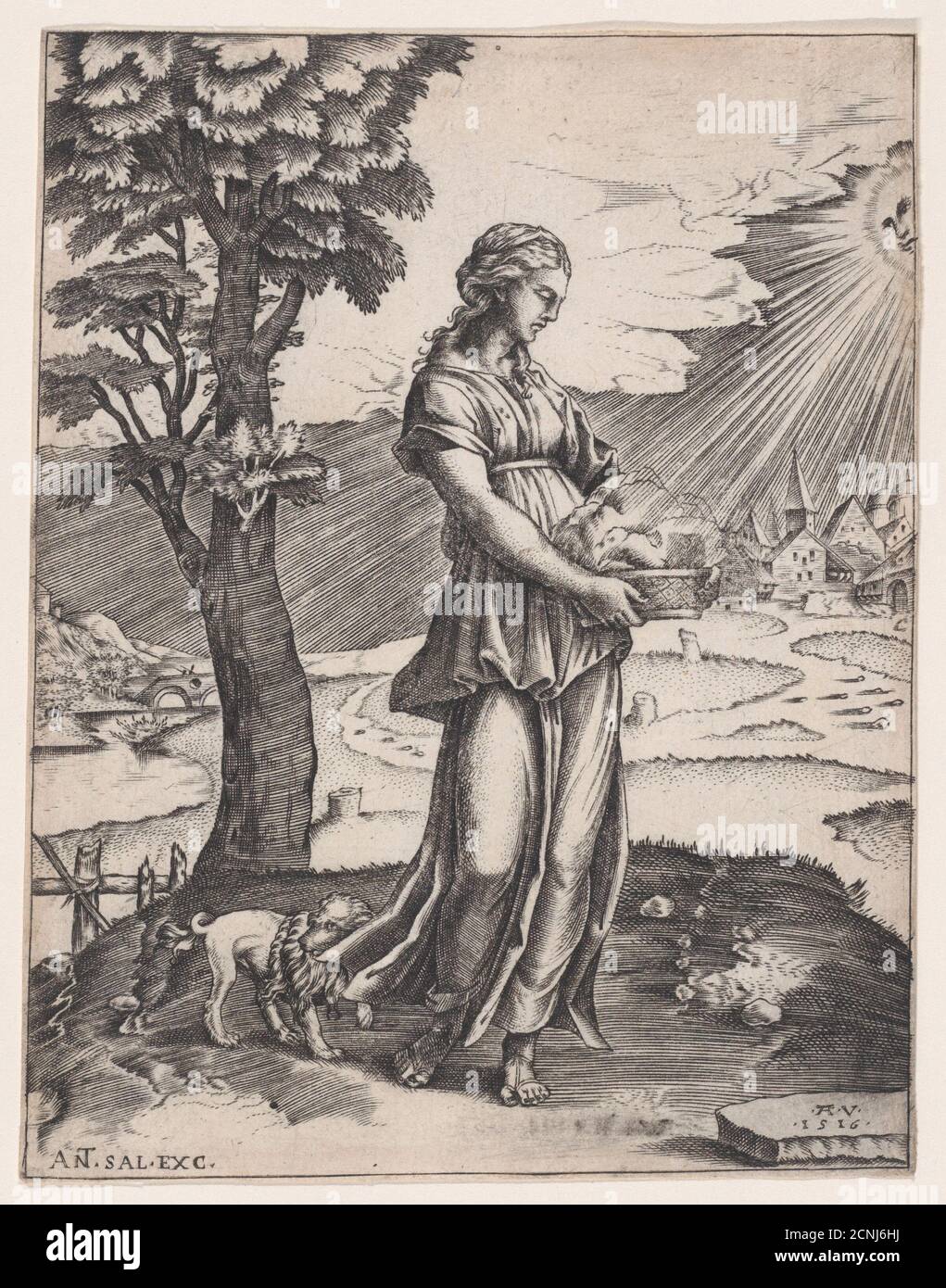The Cumaean Sibyl, dated 1516 Stock Photo - Alamy