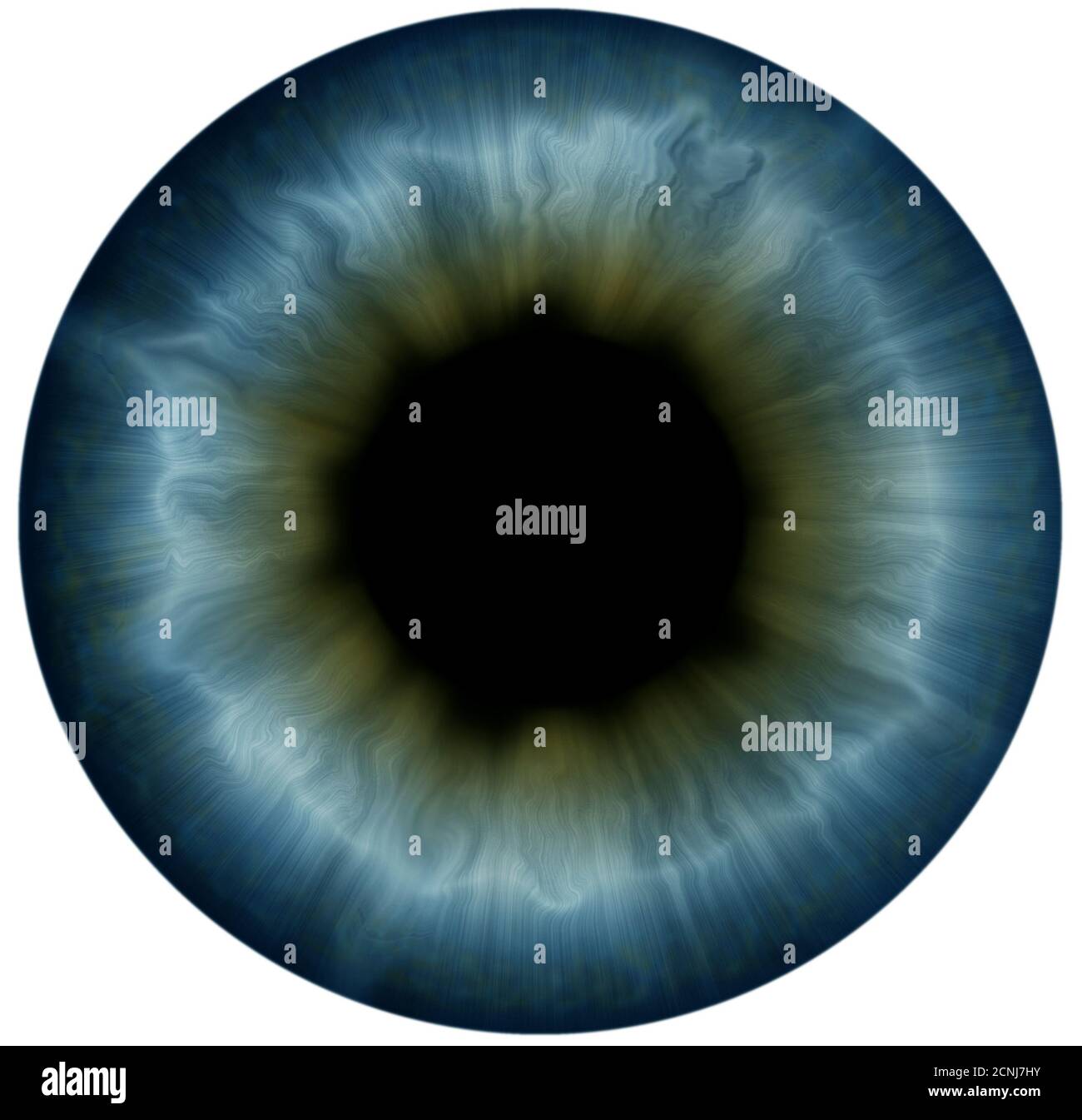 Pupil and the cornea hi-res stock photography and images - Alamy