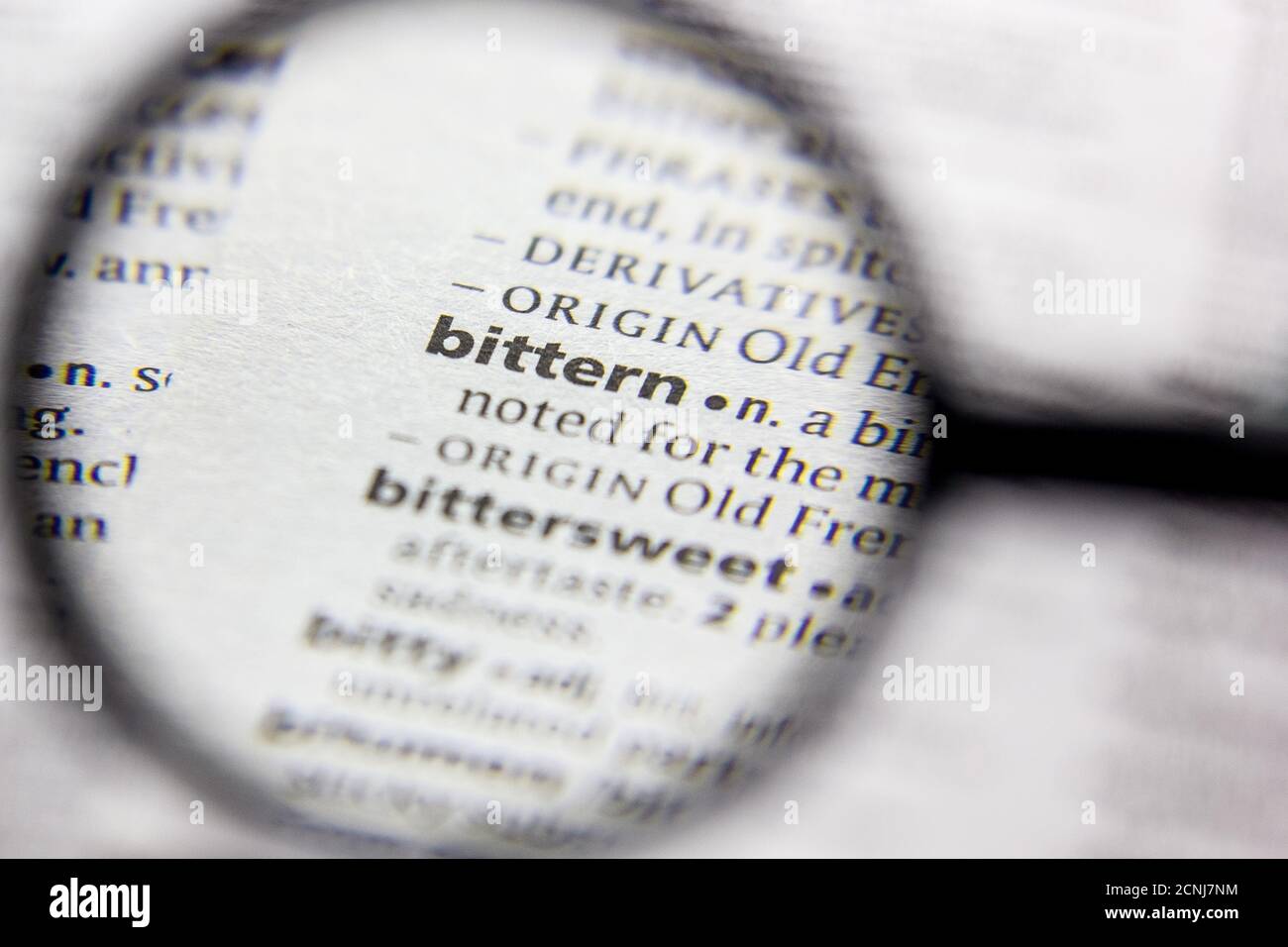 Word or phrase Bittern in a dictionary Stock Photo - Alamy