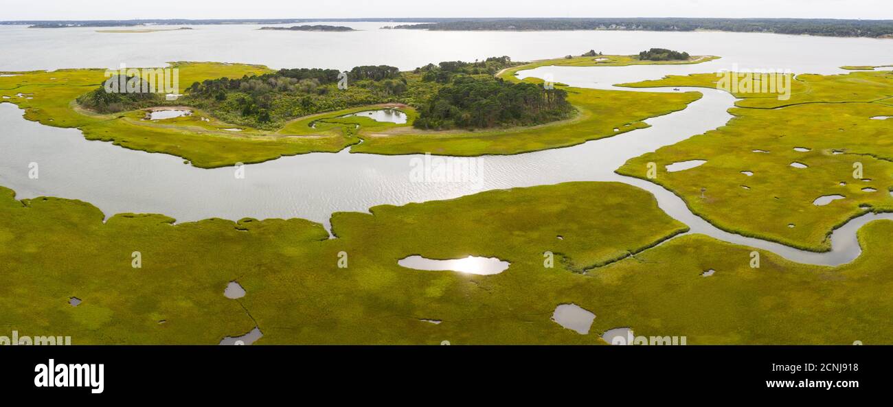 Salt marsh nursery hi-res stock photography and images - Alamy
