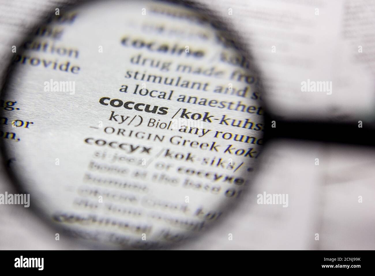 Word or phrase Coccus in a dictionary Stock Photo - Alamy