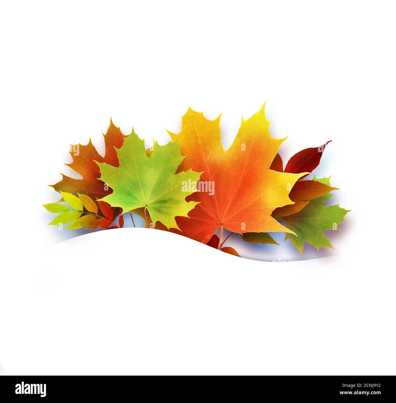 Autumn design hi-res stock photography and images - Alamy