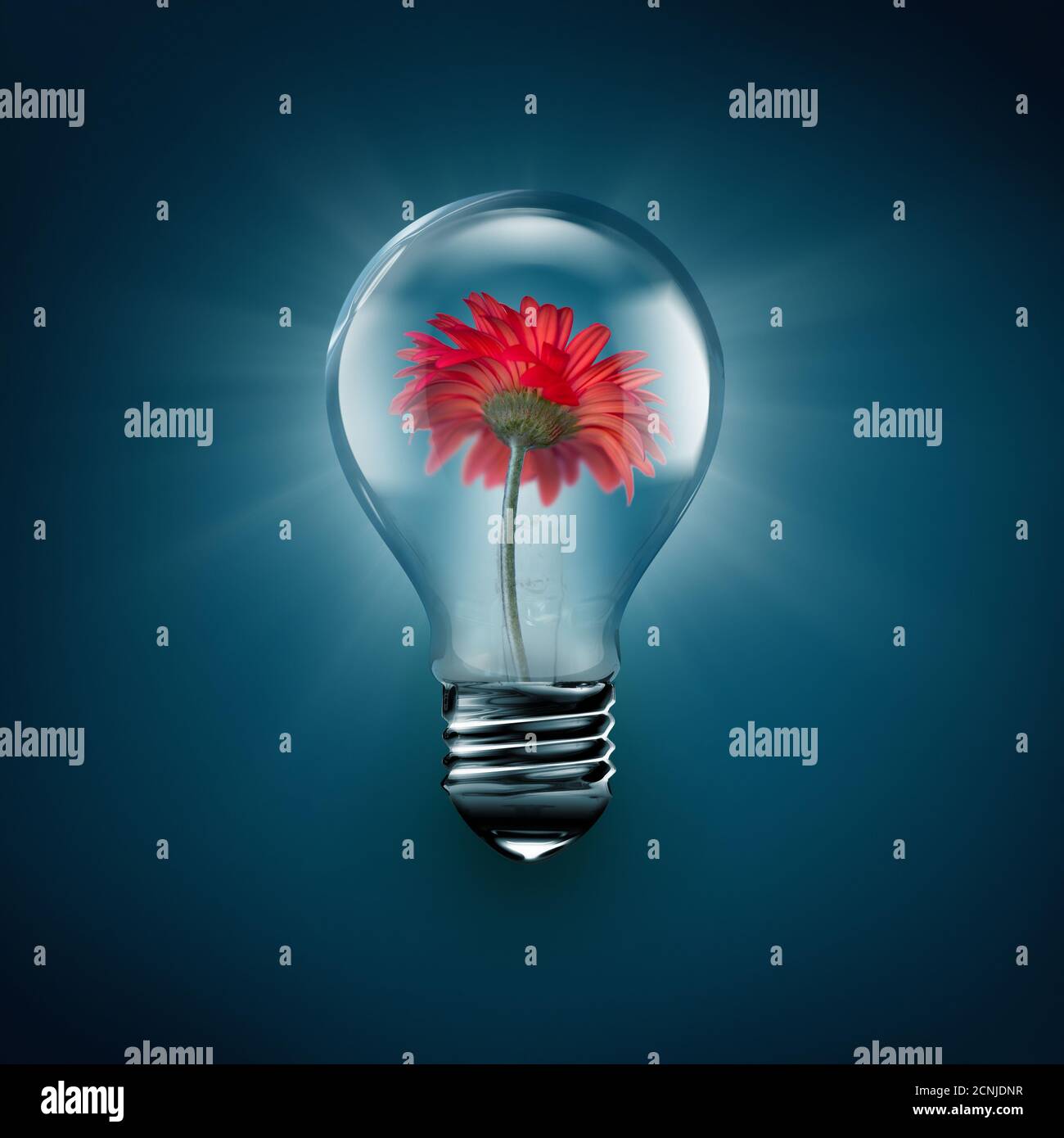 red flower inside light bulb Stock Photo - Alamy