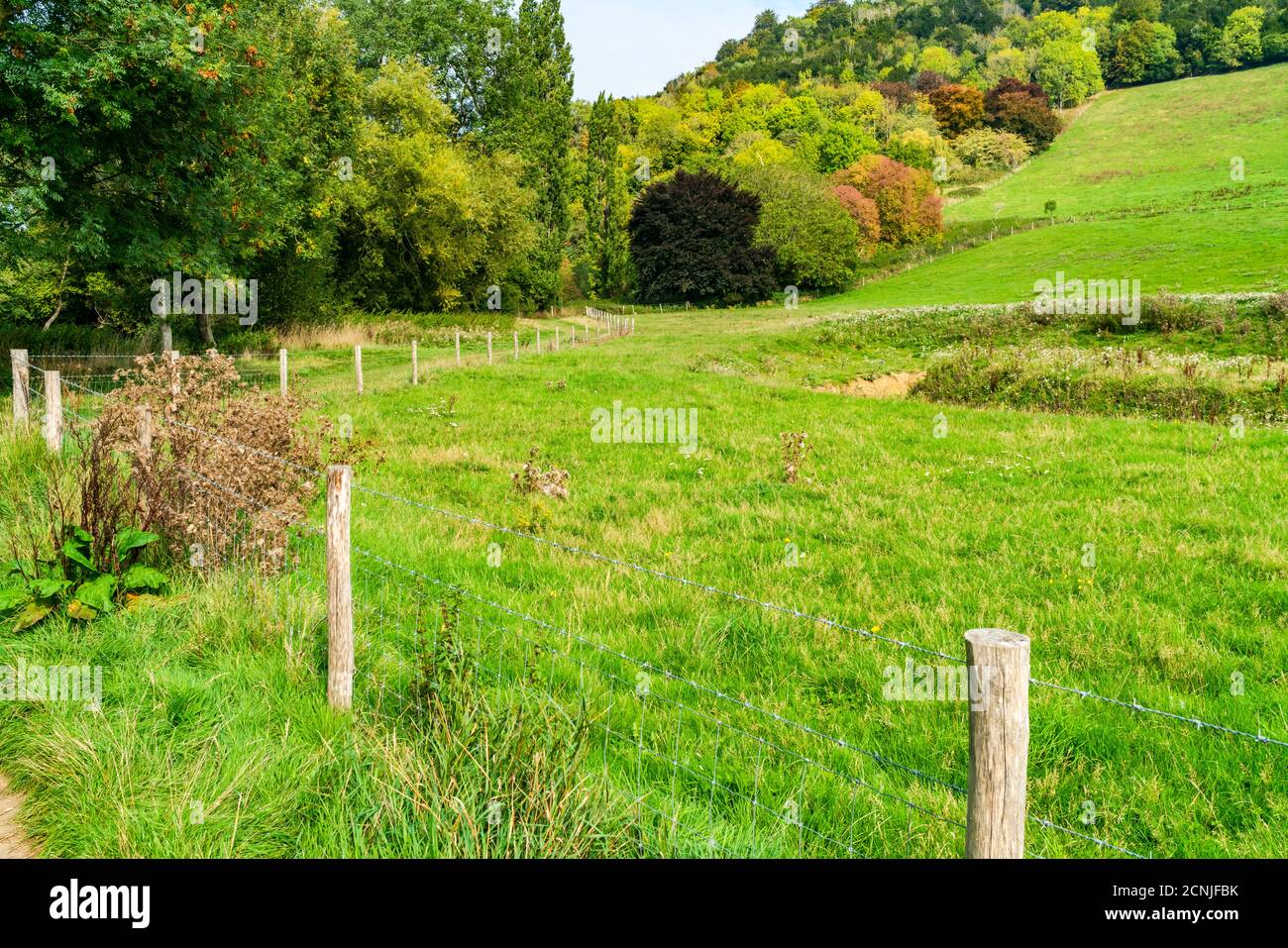 View of English countryside in the fall colors, North Downs in Surrey ...