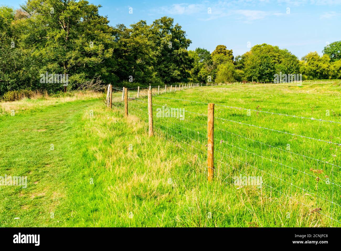 View of English countryside in the fall colors, North Downs in Surrey ...
