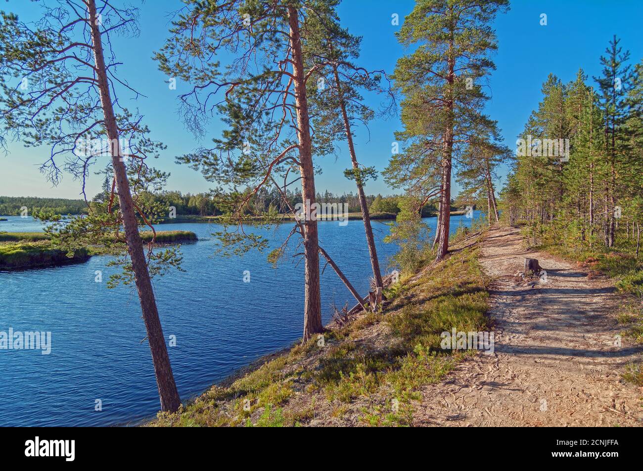 The path on the sandy river bank. Sunny summer morning Stock Photo - Alamy