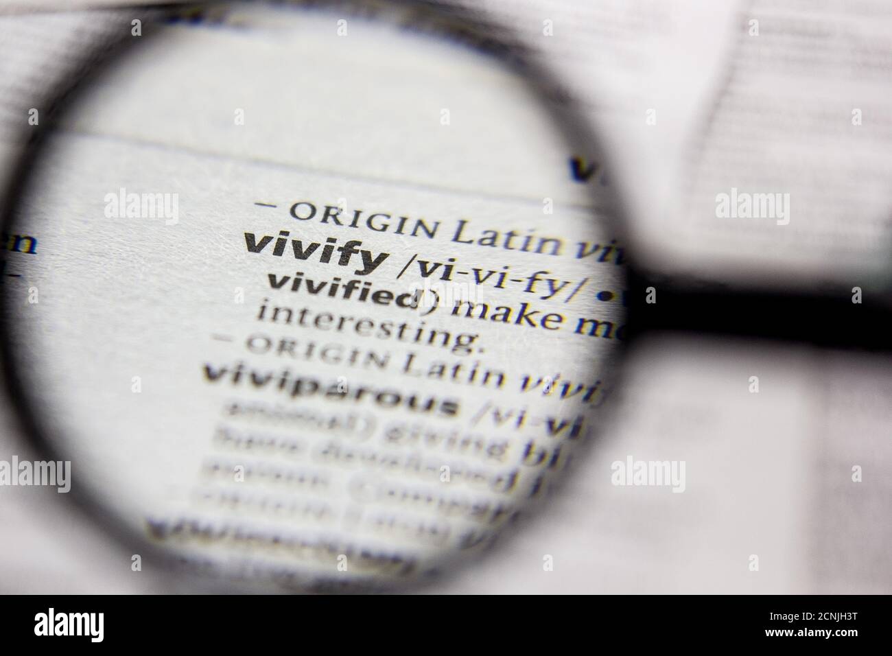 Word or phrase Vivify in a dictionary Stock Photo - Alamy