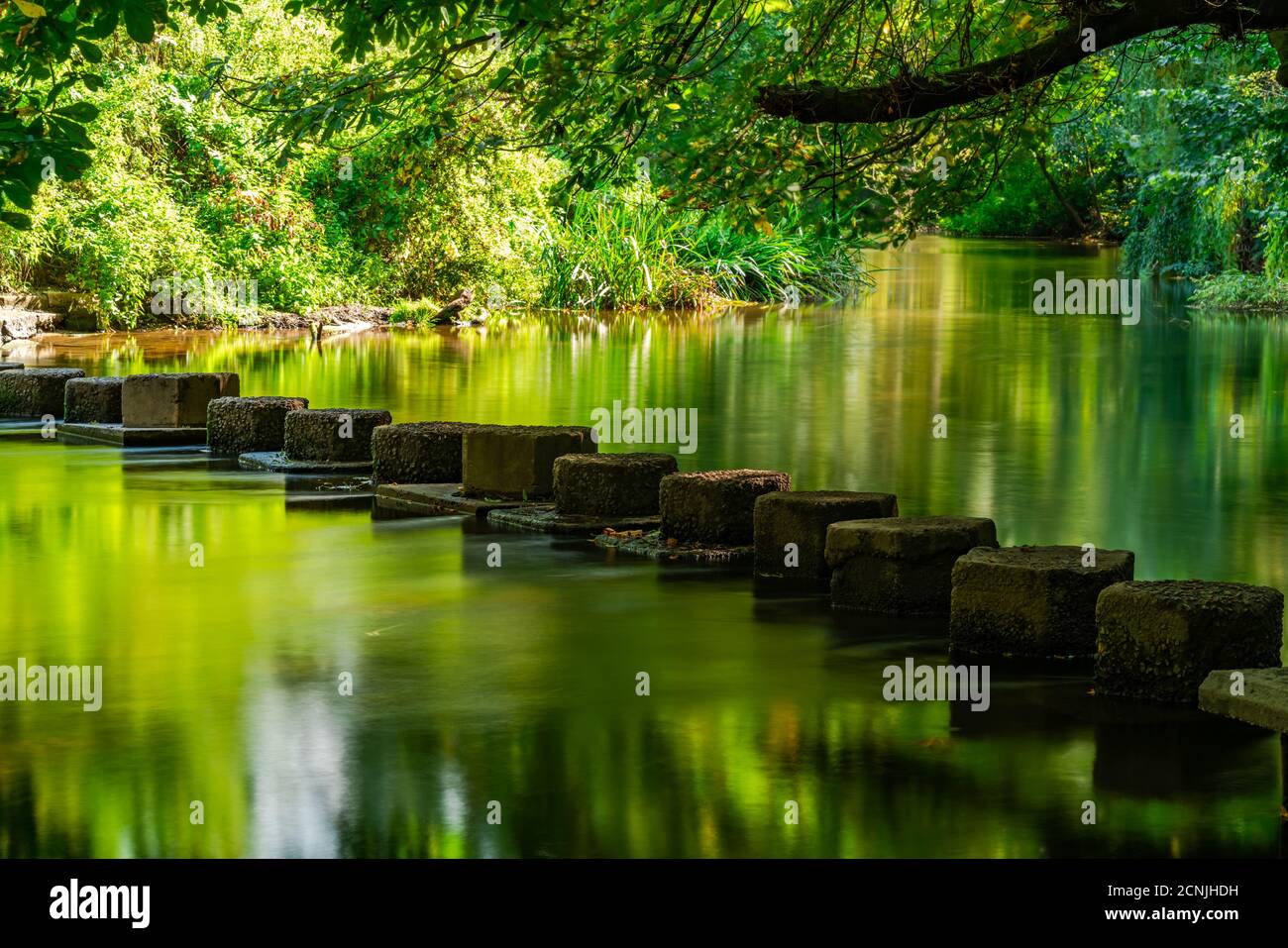 Stepping Stones over the river Mole, Surrey, UK Stock Photo - Alamy