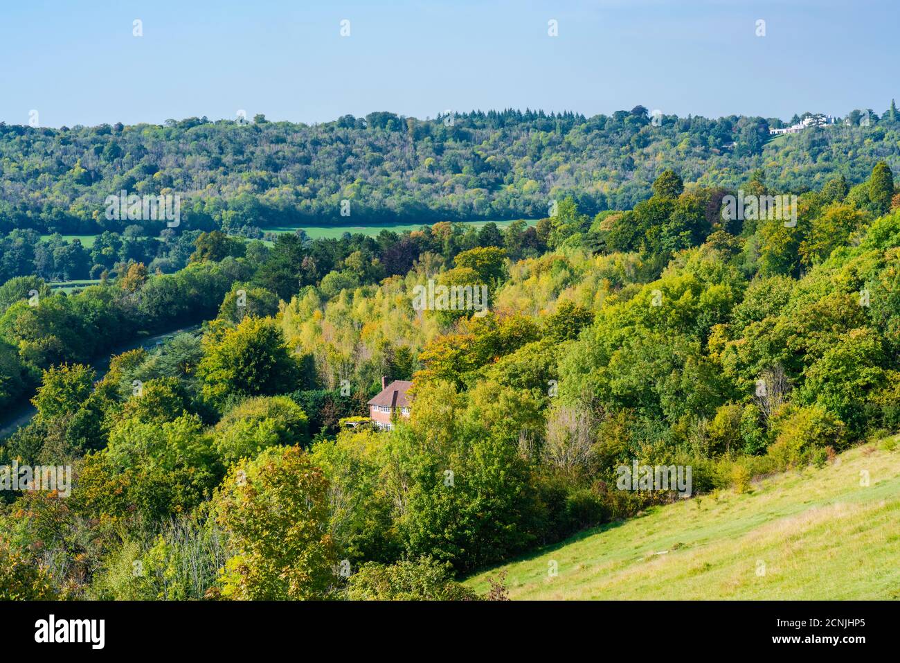 View of English countryside in the fall colors, North Downs in Surrey ...