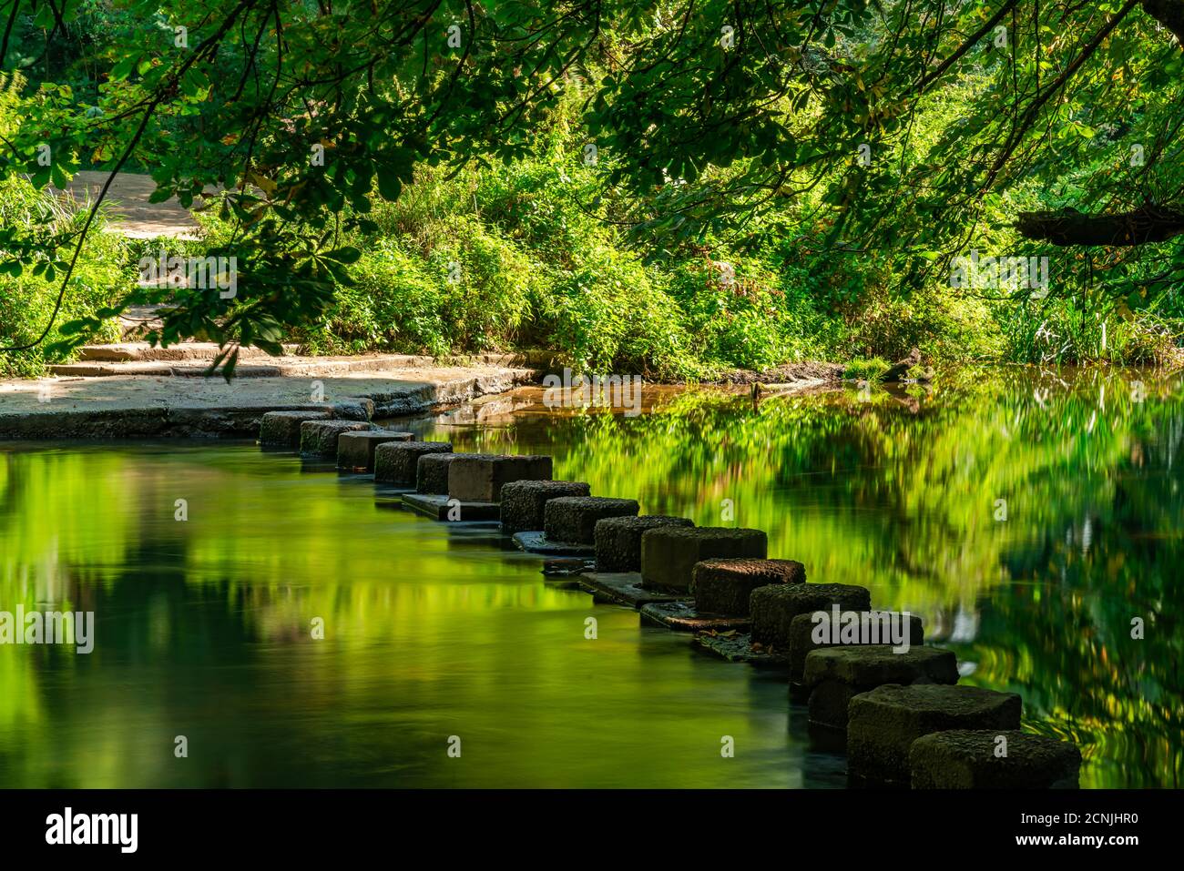River mole stepping stone hi-res stock photography and images - Alamy