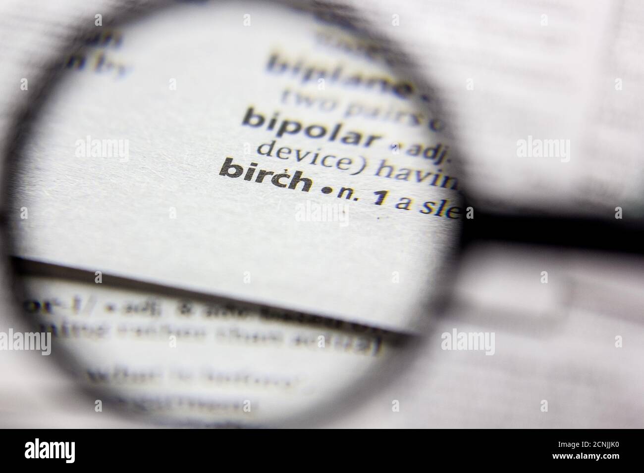 Meaning birch hi-res stock photography and images - Alamy