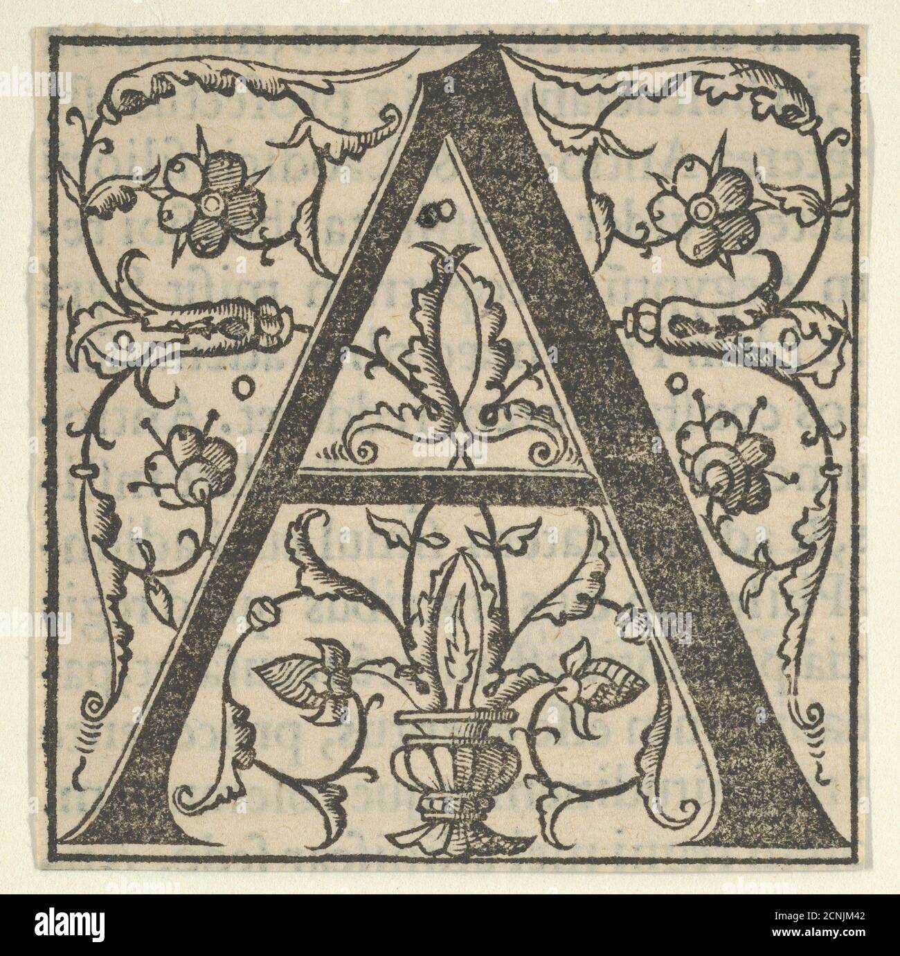 Initial letter A with garlands, mid-16th century Stock Photo - Alamy