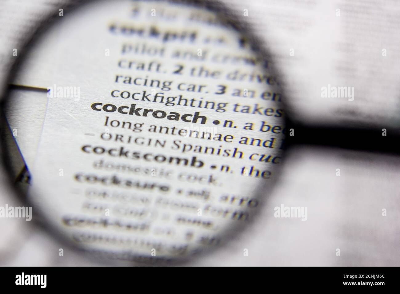 Word or phrase Cockroach in a dictionary Stock Photo - Alamy