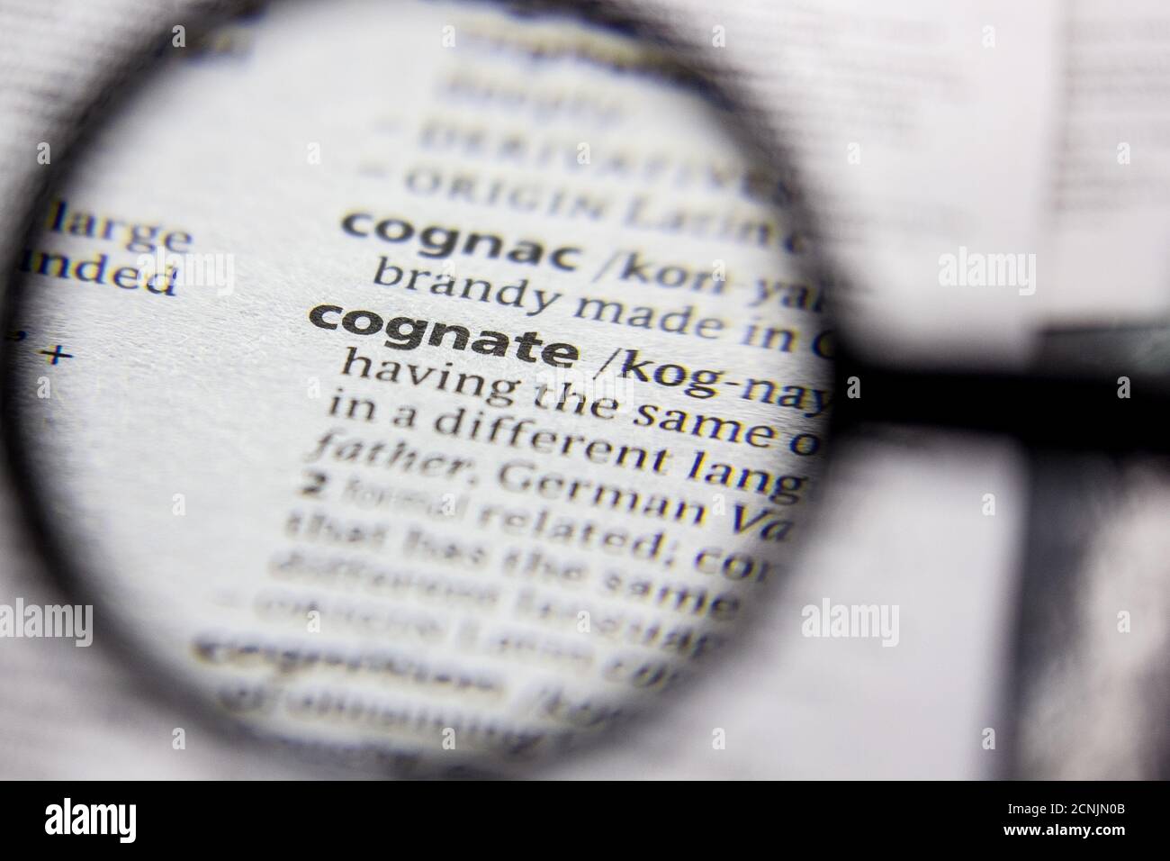 Cognate hi-res stock photography and images - Alamy