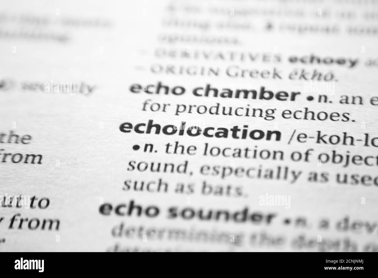 Word or phrase Echolocation in a dictionary Stock Photo - Alamy