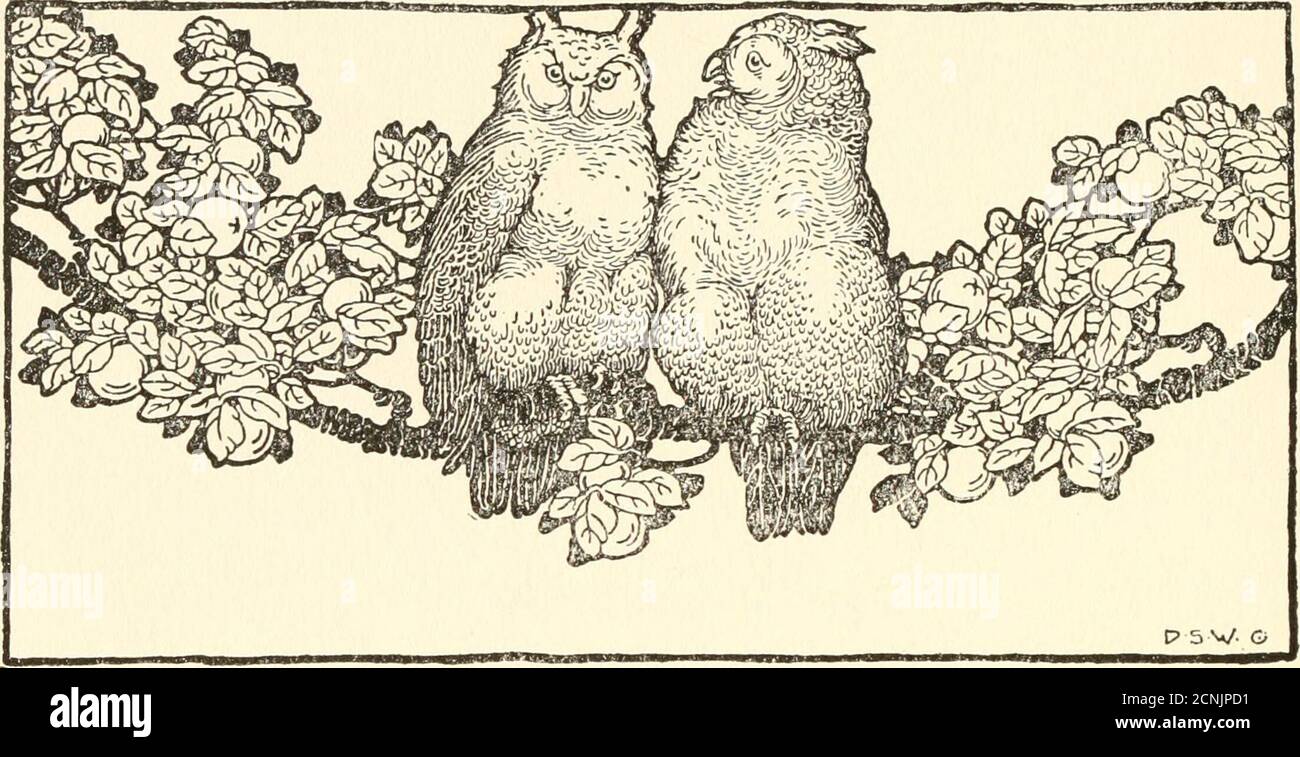 . The peacock and the wishing-fairy and other stories . II MR. AND MRS ...