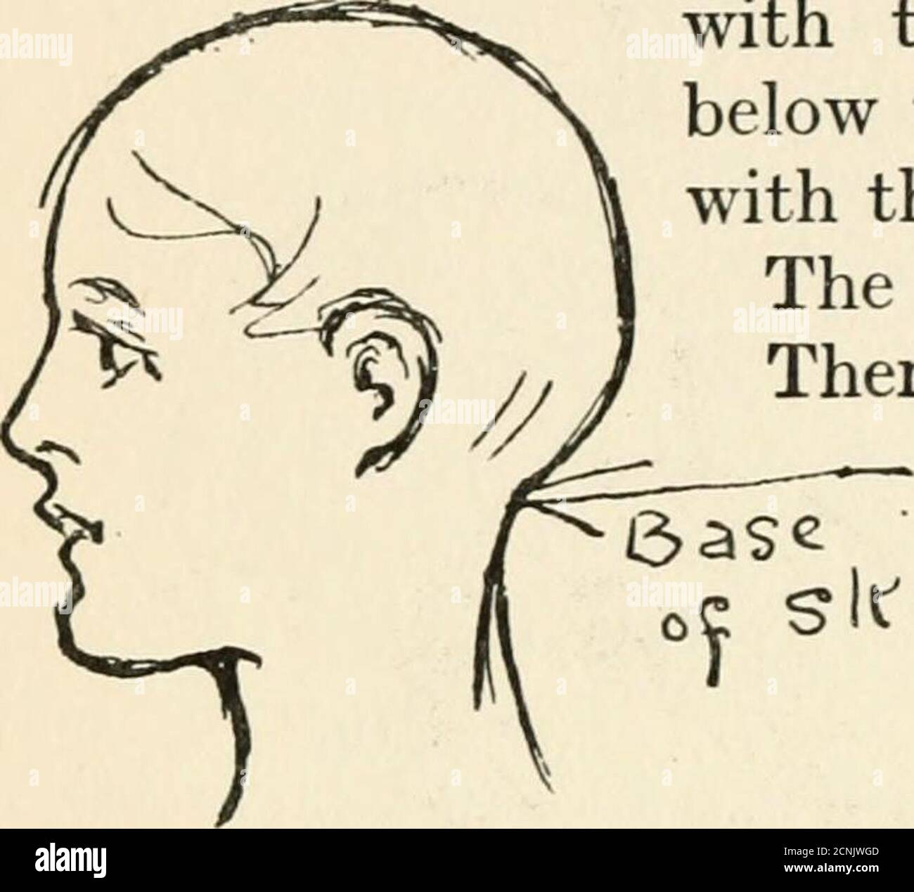 S curve spine hi-res stock photography and images - Alamy