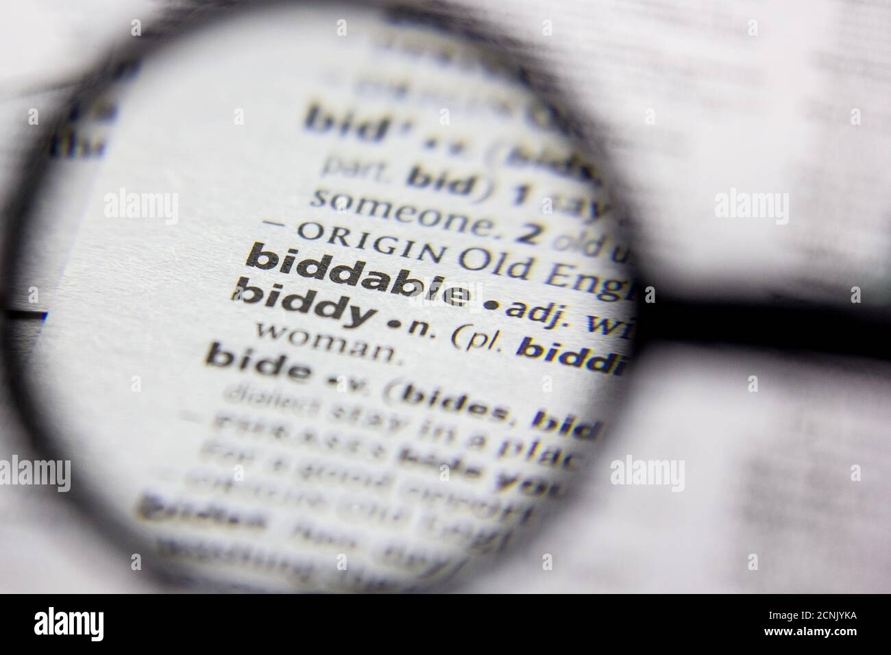 Word or phrase Biddable in a dictionary Stock Photo - Alamy