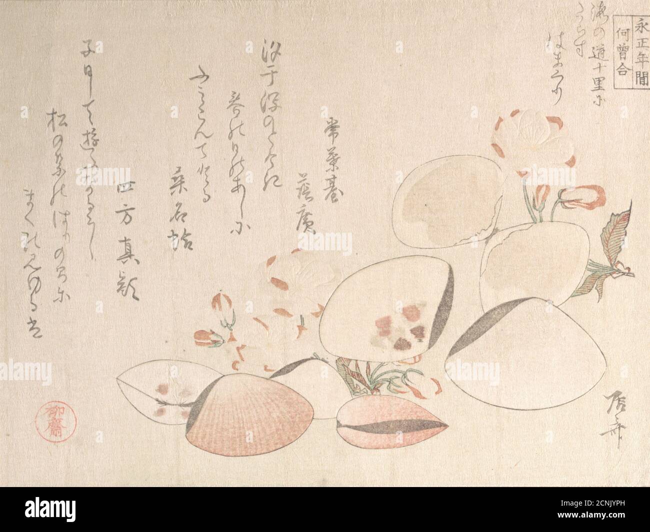 Cherry Blossoms and Shells, 19th century Stock Photo - Alamy
