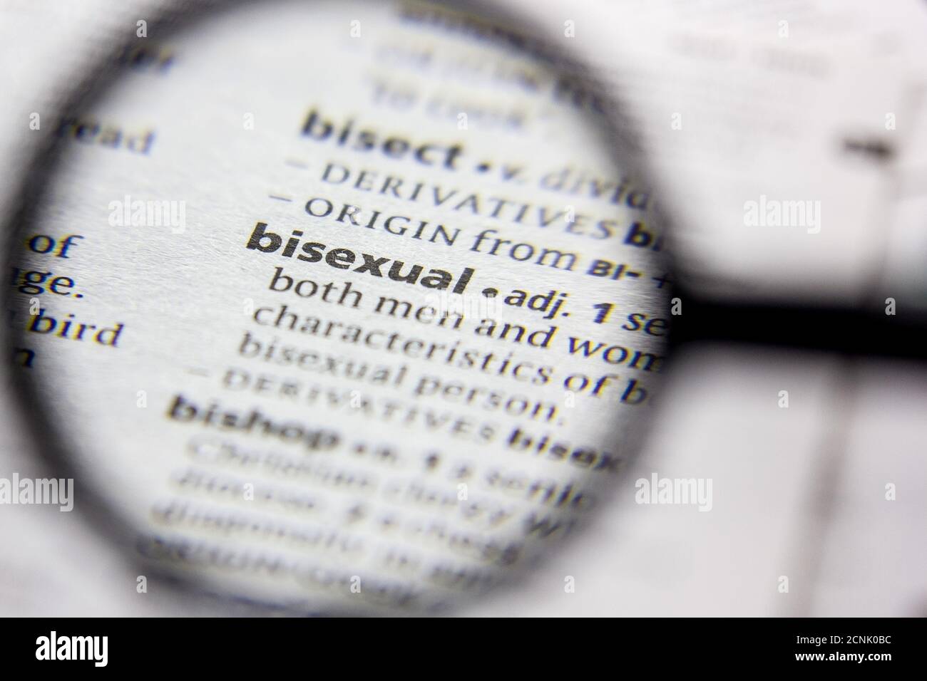 Word or phrase Bisexual in a dictionary Stock Photo - Alamy