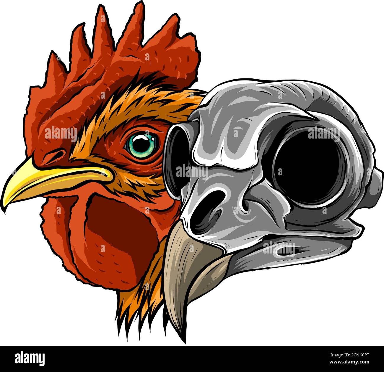 Sketch Chicken Skull vector and artwork illustration Stock Vector Image ...