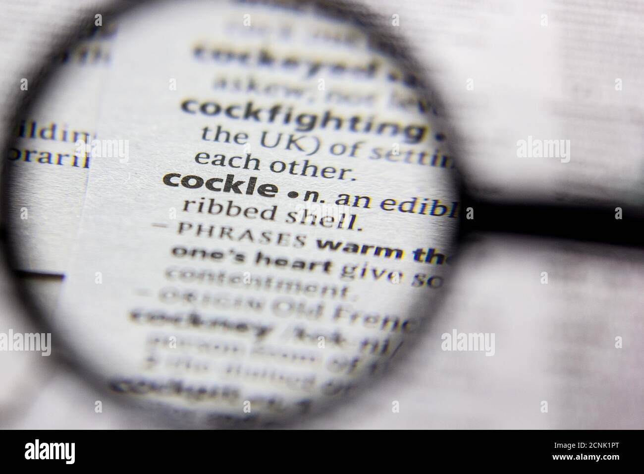 Word or phrase Cockle in a dictionary Stock Photo - Alamy