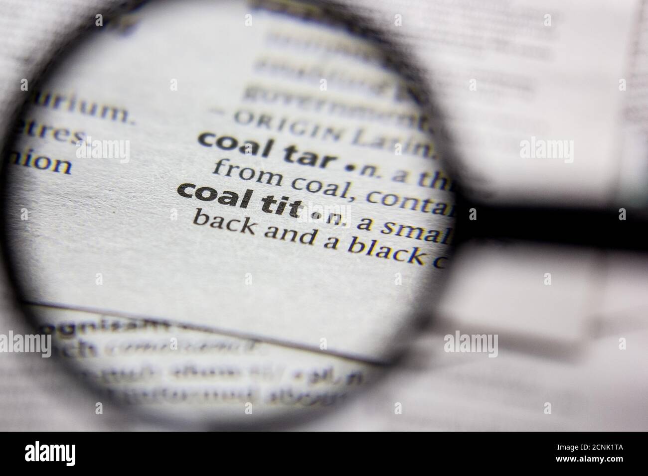 Word or phrase Coal tit in a dictionary Stock Photo - Alamy