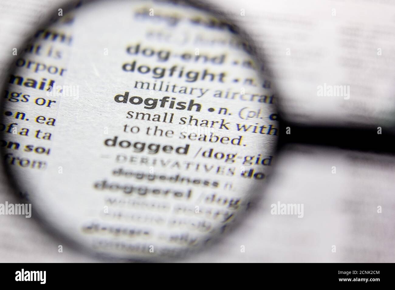 Black dogfish hi-res stock photography and images - Alamy