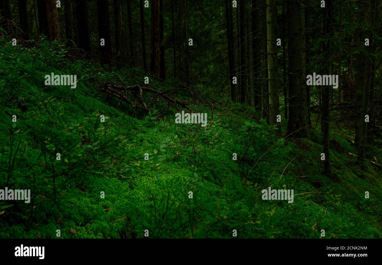 Green landskape hi-res stock photography and images - Alamy