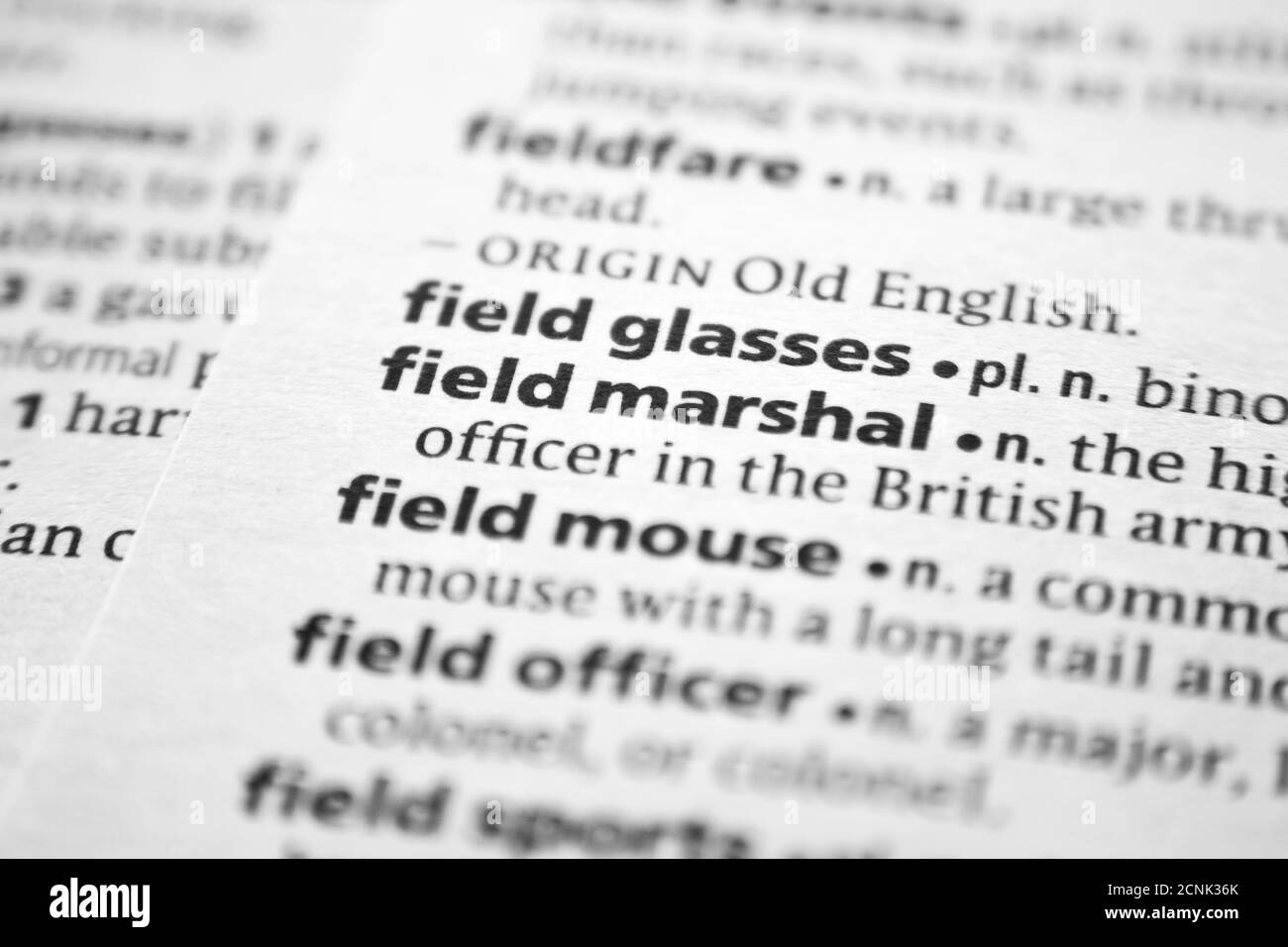 Word or phrase Field marshal in a dictionary Stock Photo - Alamy
