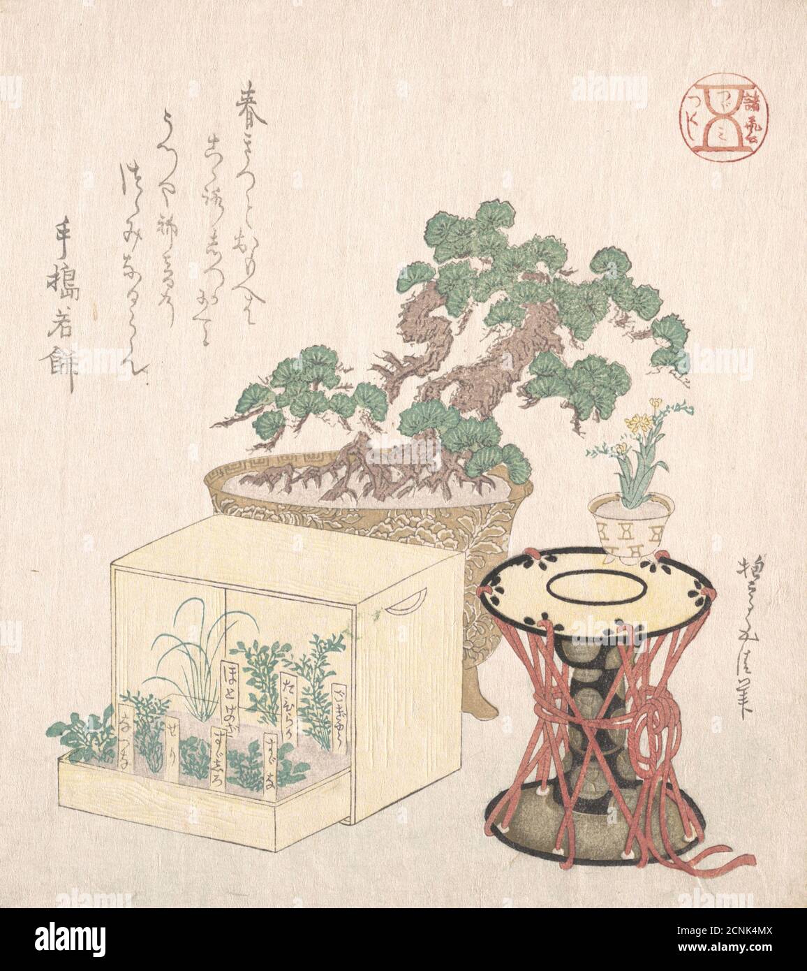 Potted pine tree drum hi-res stock photography and images - Alamy