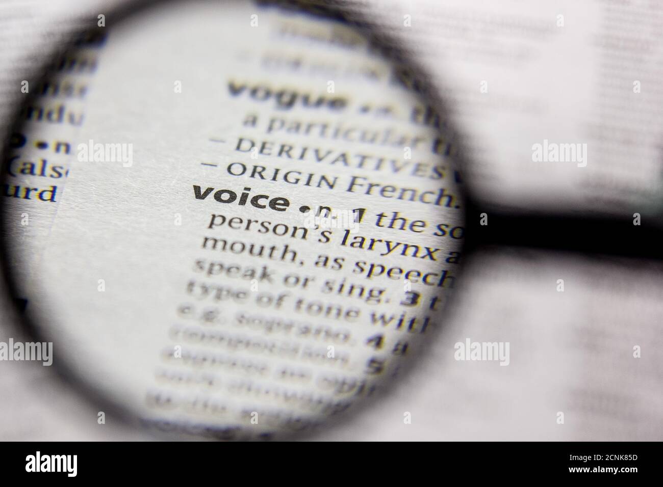Word or phrase Voice in a dictionary Stock Photo - Alamy