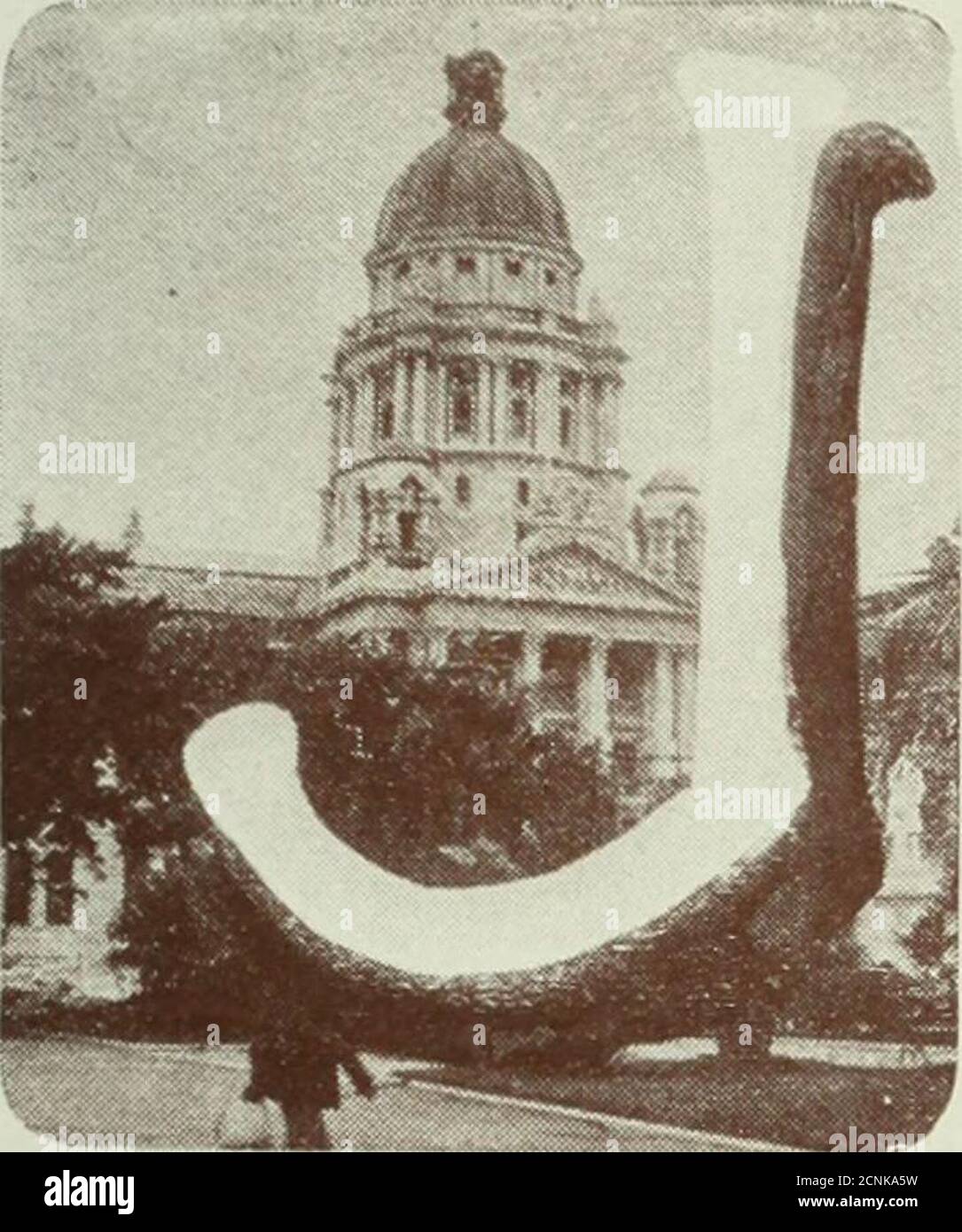 . Natal province : descriptive guide and official hand-book . * D URBAN ...