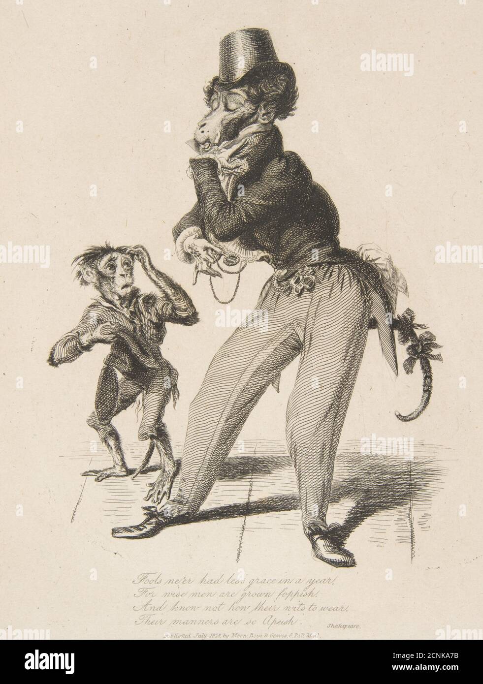 Monkey ana hi-res stock photography and images - Alamy