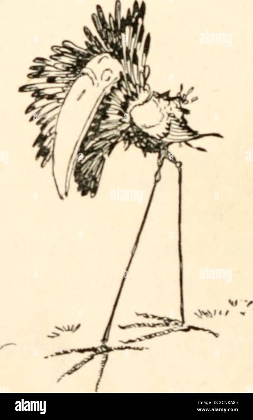 The slithy toves hi-res stock photography and images - Alamy