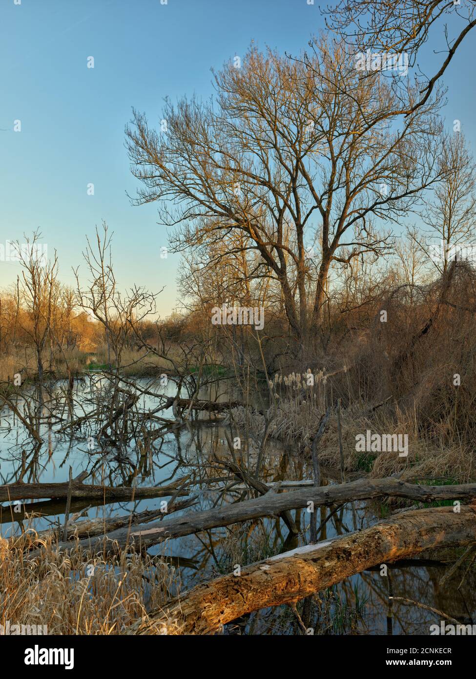 Renaturation measure hi-res stock photography and images - Alamy