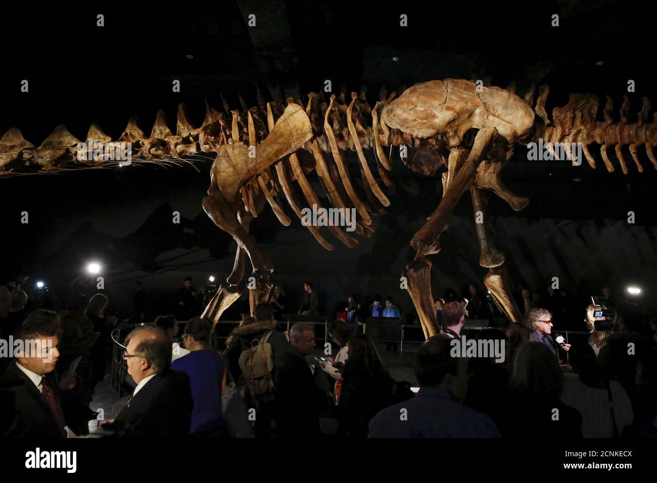 New york museum elevator hi-res stock photography and images - Alamy