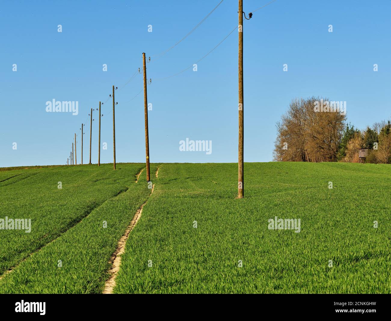 Line Wooden Poles High Resolution Stock Photography and Images - Alamy
