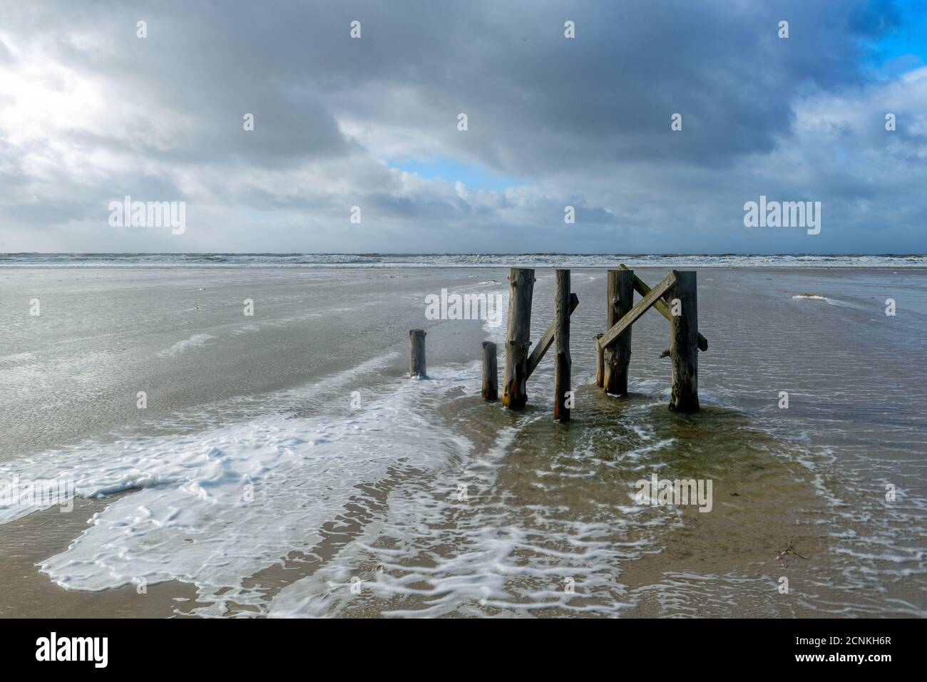 Dunes, beach, dune valley, beach grass, wind, sand flags, foredunes ...