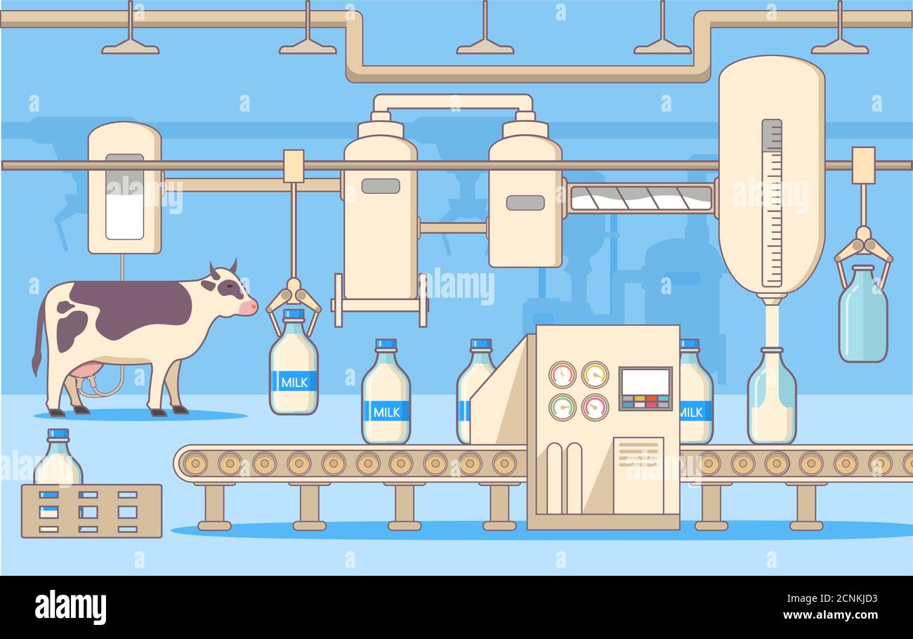 Milk factory production processing. Milk conveyor belt. Automatic ...