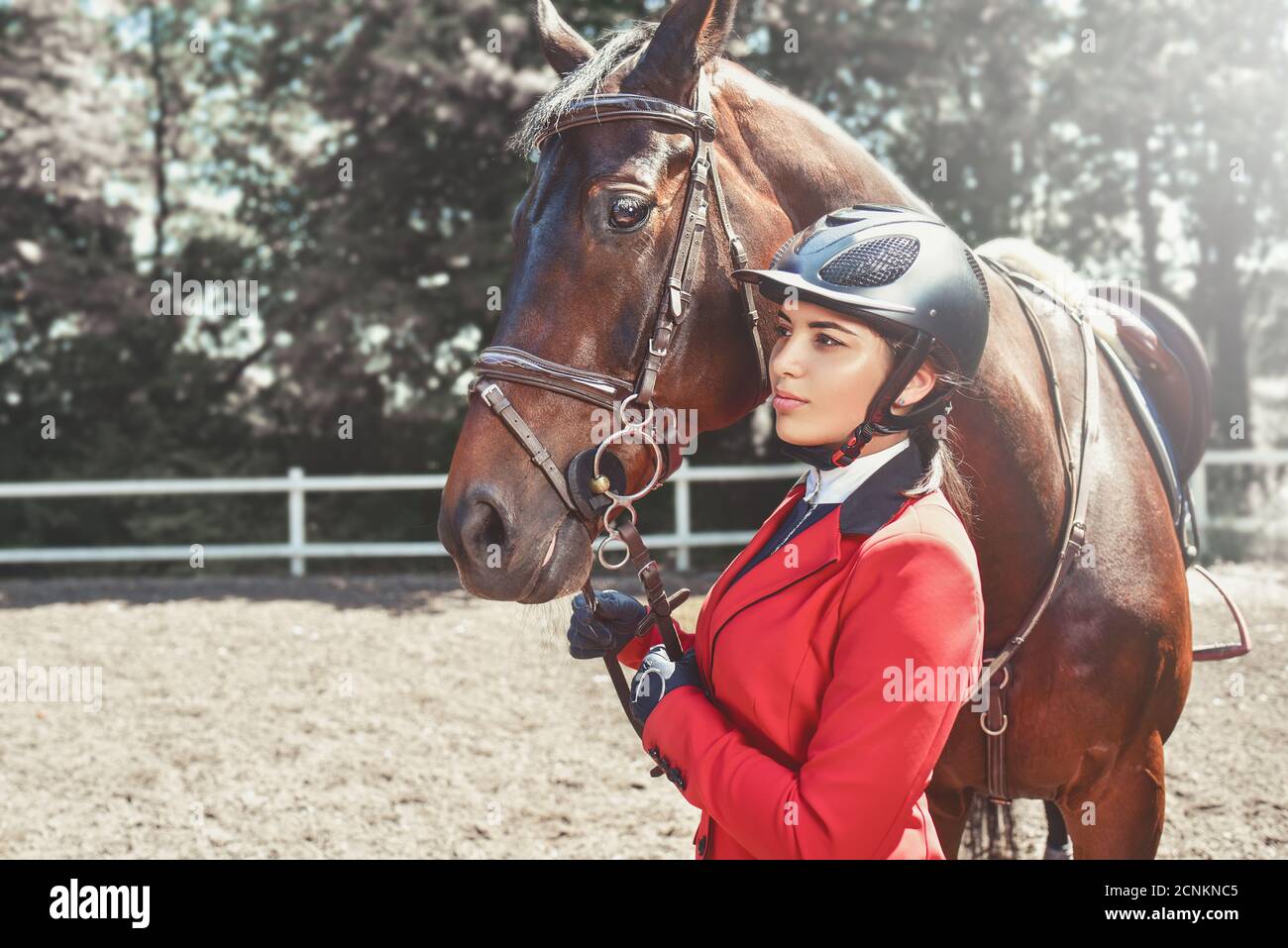 Girl rider and a horse posing in spring forest.She loves the animals ...