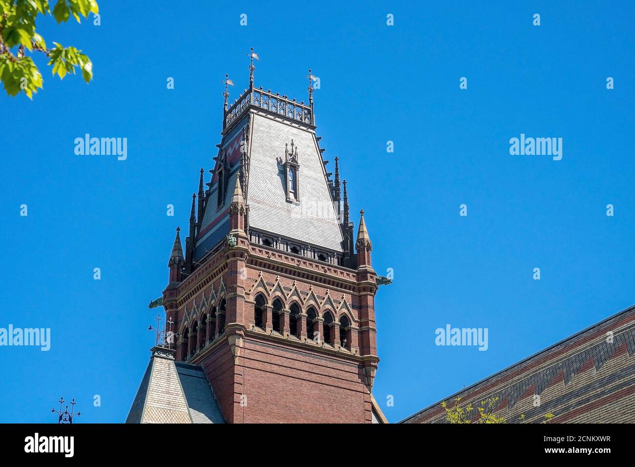 Low angle shot of the Memorial Hall of the Harvard University in ...