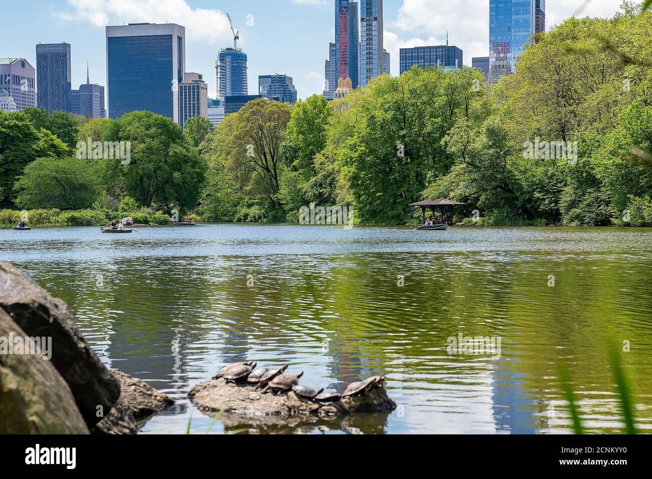 The Hudson New York Central Park