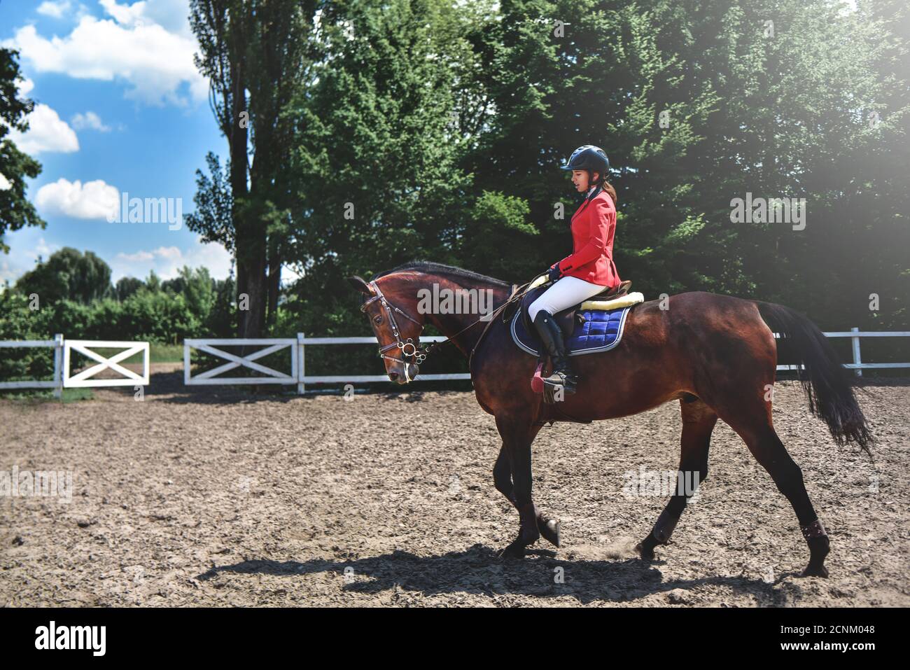Young pretty jockey girl preparing horse for ride. love horses. girl ...